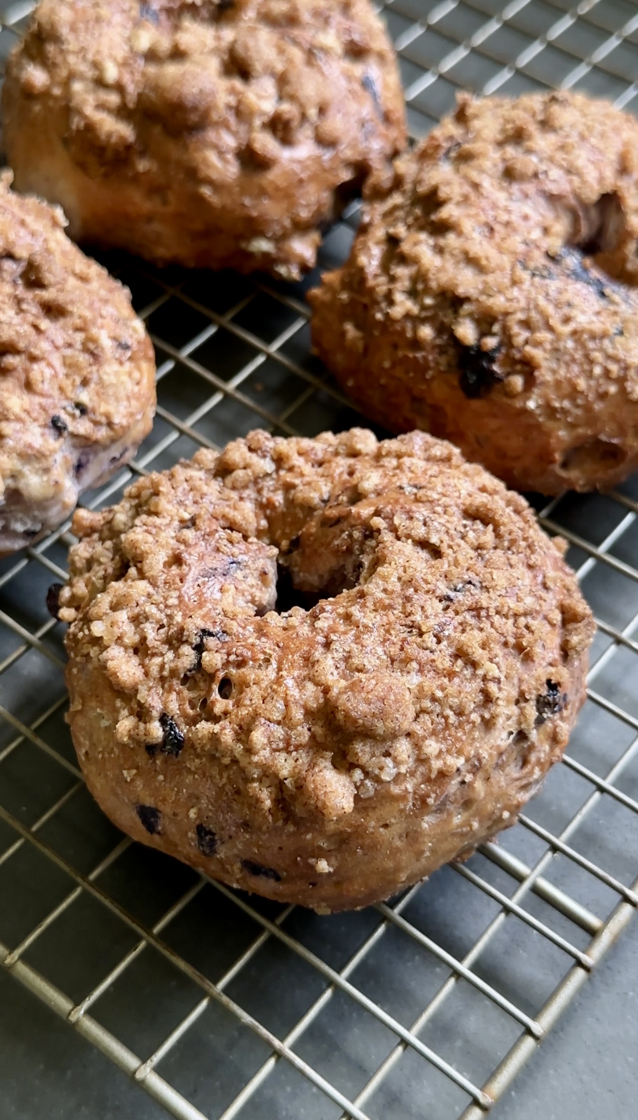 greek yogurt blueberry crunch bagels - Grace Elkus