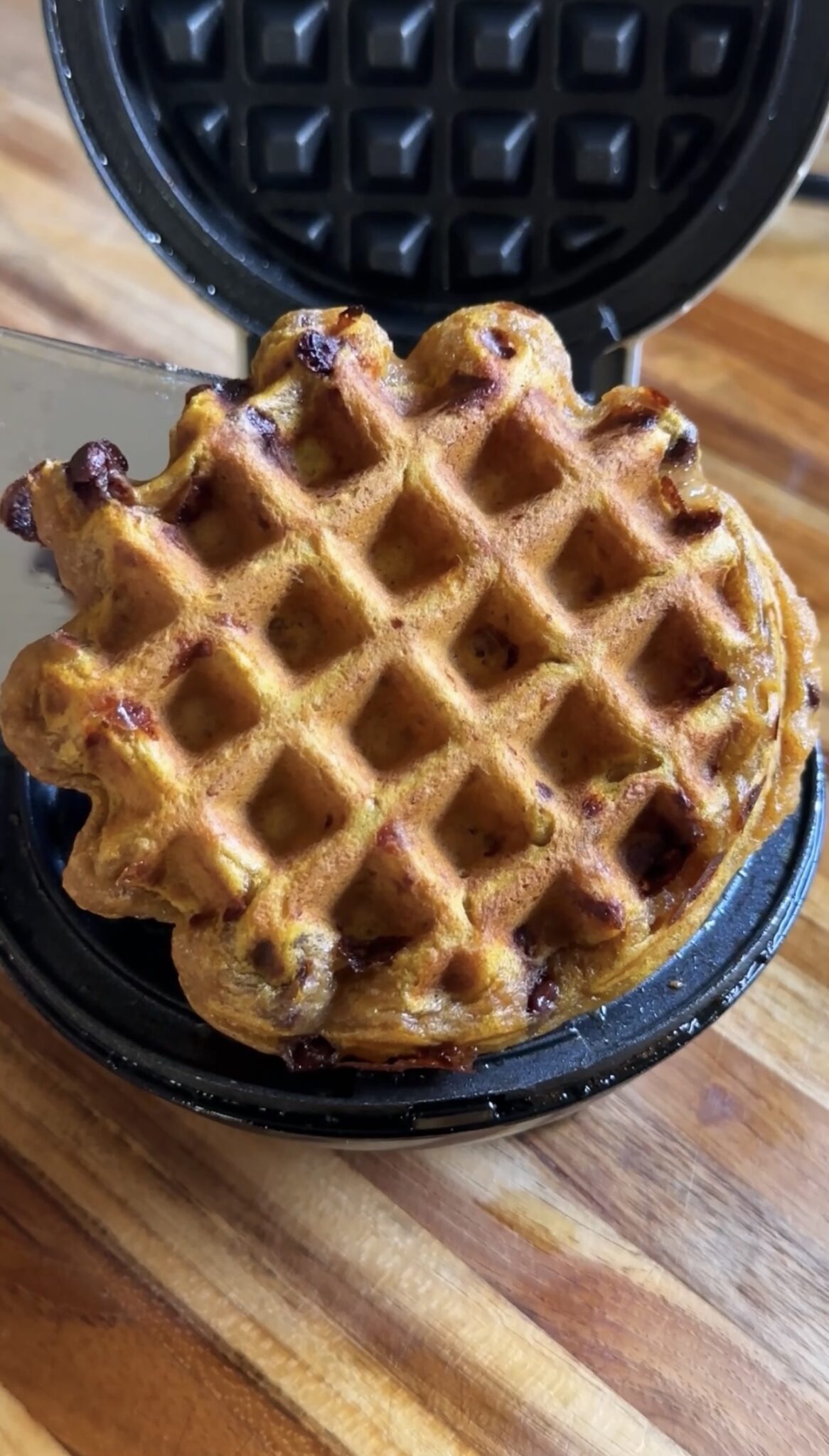 pumpkin protein toaster waffles - Grace Elkus